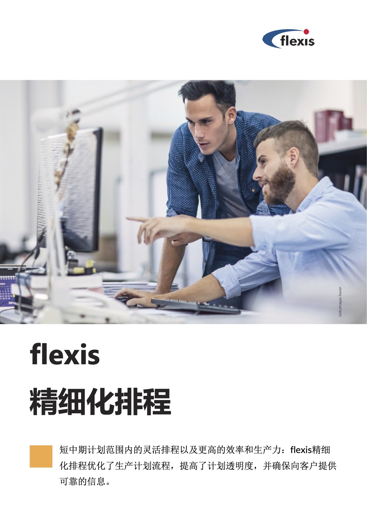 flexis详细计划